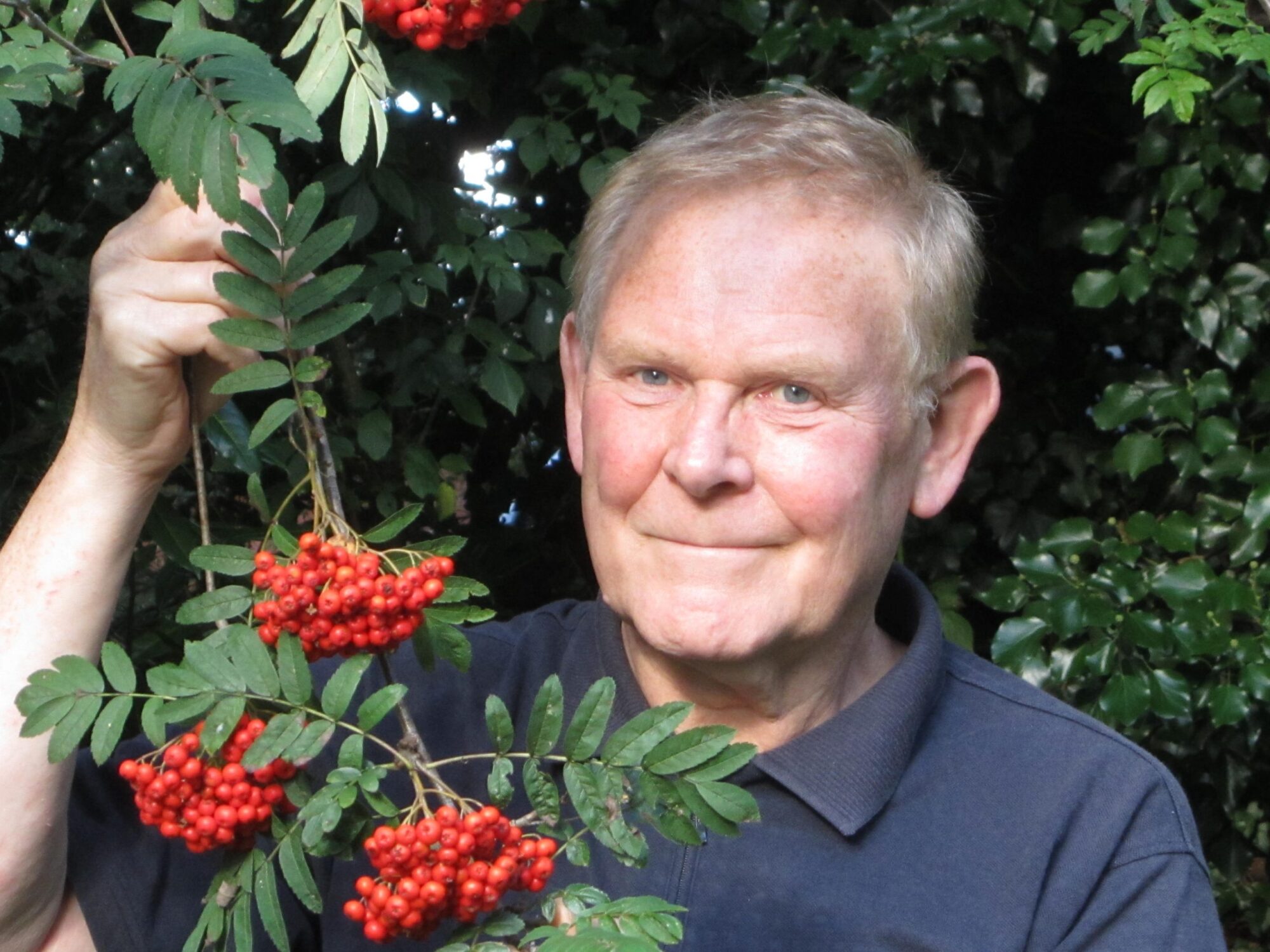 Chris Baines: Urban Wildlife | Carbon Copy