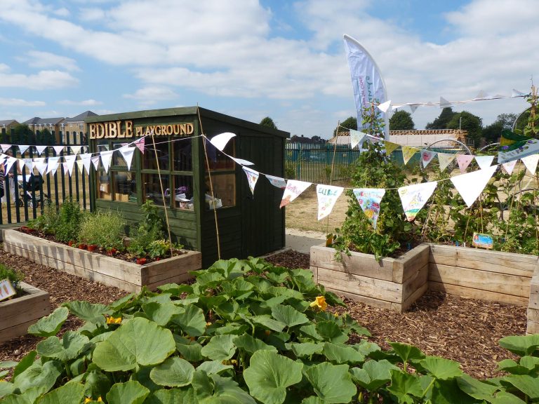 What is Carbon Dioxide? Definition, Sources & Role | Carbon Copy