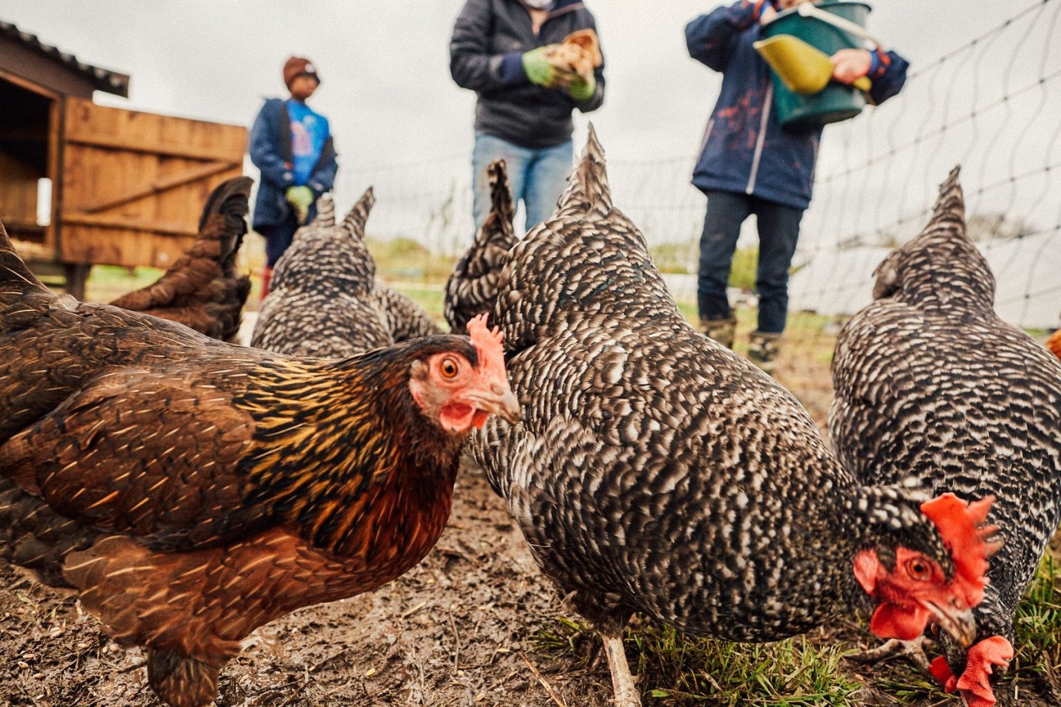 Climate Clock - Countdown to 1.5 Degrees | Carbon Copy