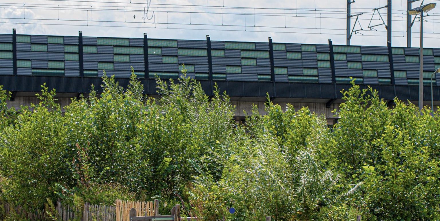 What are Urban Greening Projects? | Carbon Copy