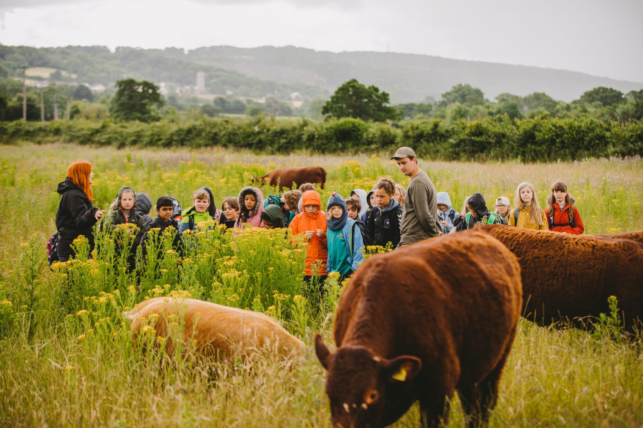 What is Rewilding? A UK Rewilding Guide | Carbon Copy