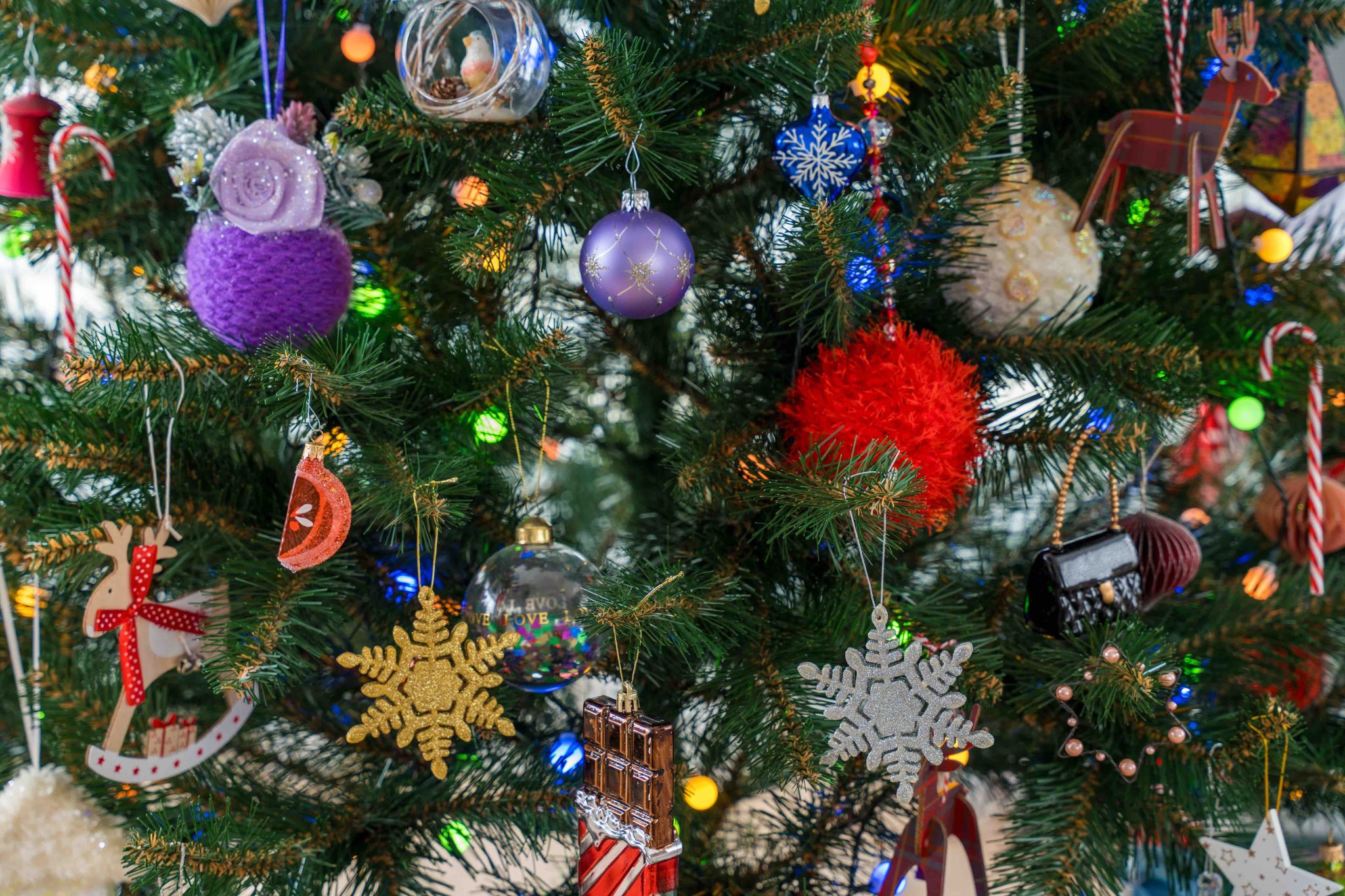 How to Choose a Sustainable Christmas Tree: Real vs Fake | Carbon Copy