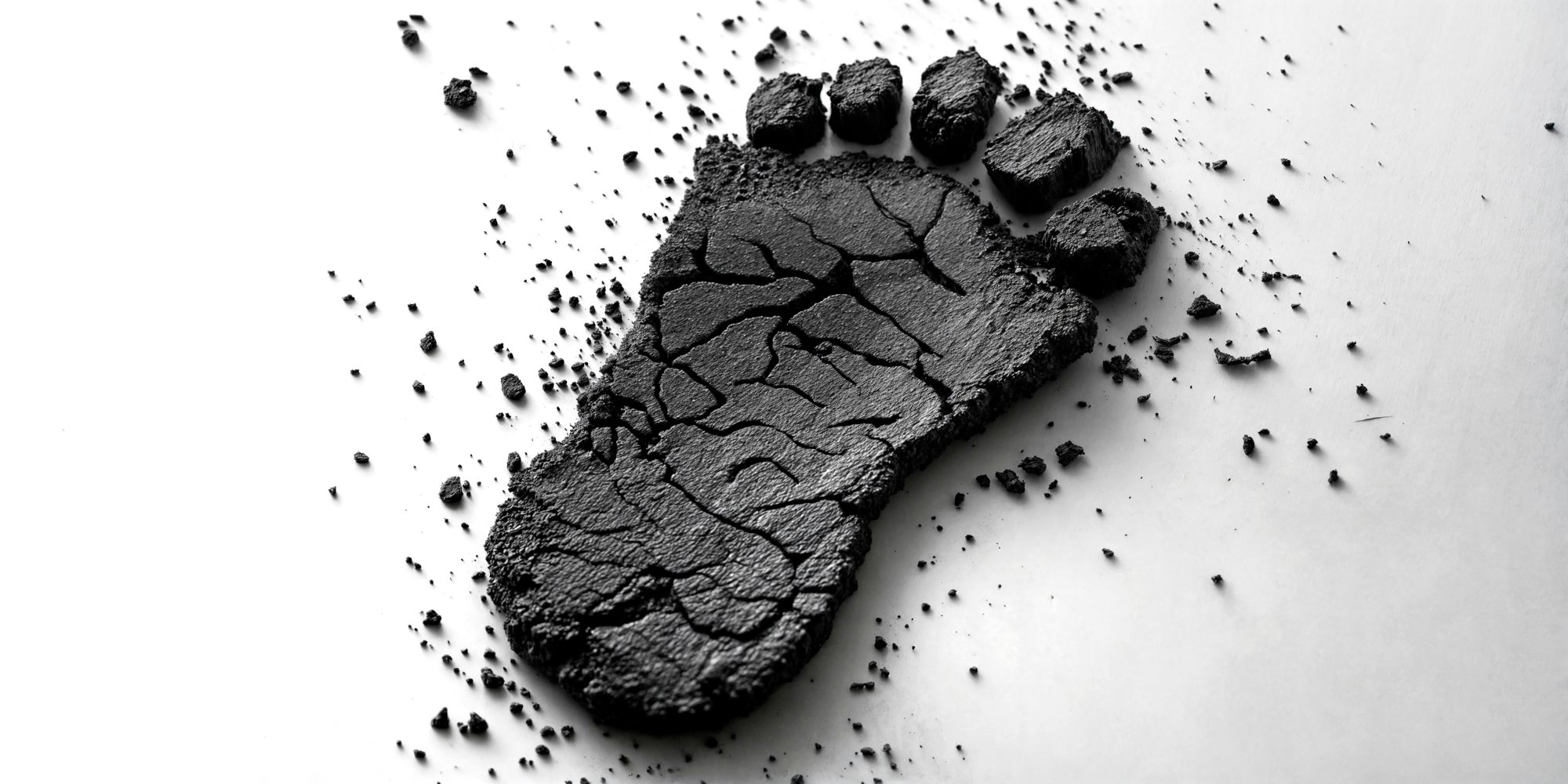 What is a Carbon Footprint? | Carbon Copy